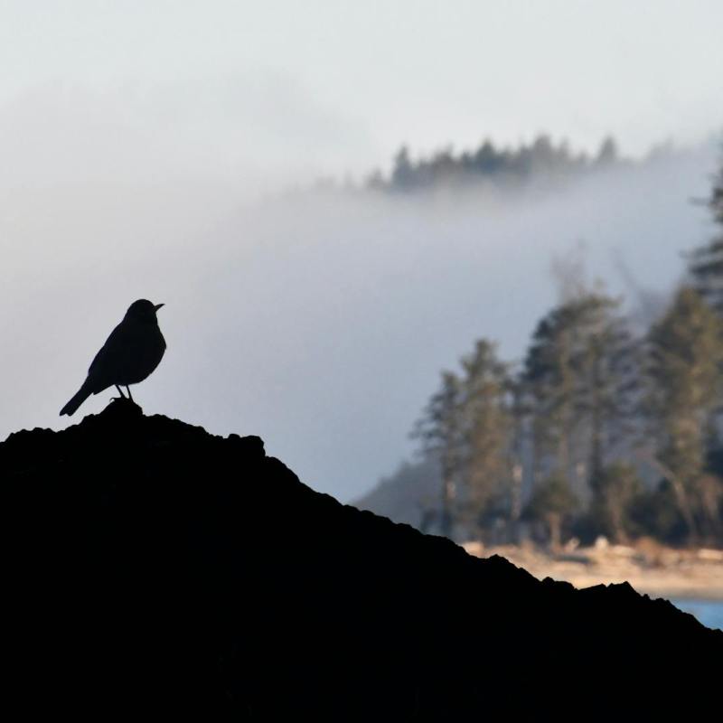 20 states and territories given short-term BEAD extensions by NTIA ...