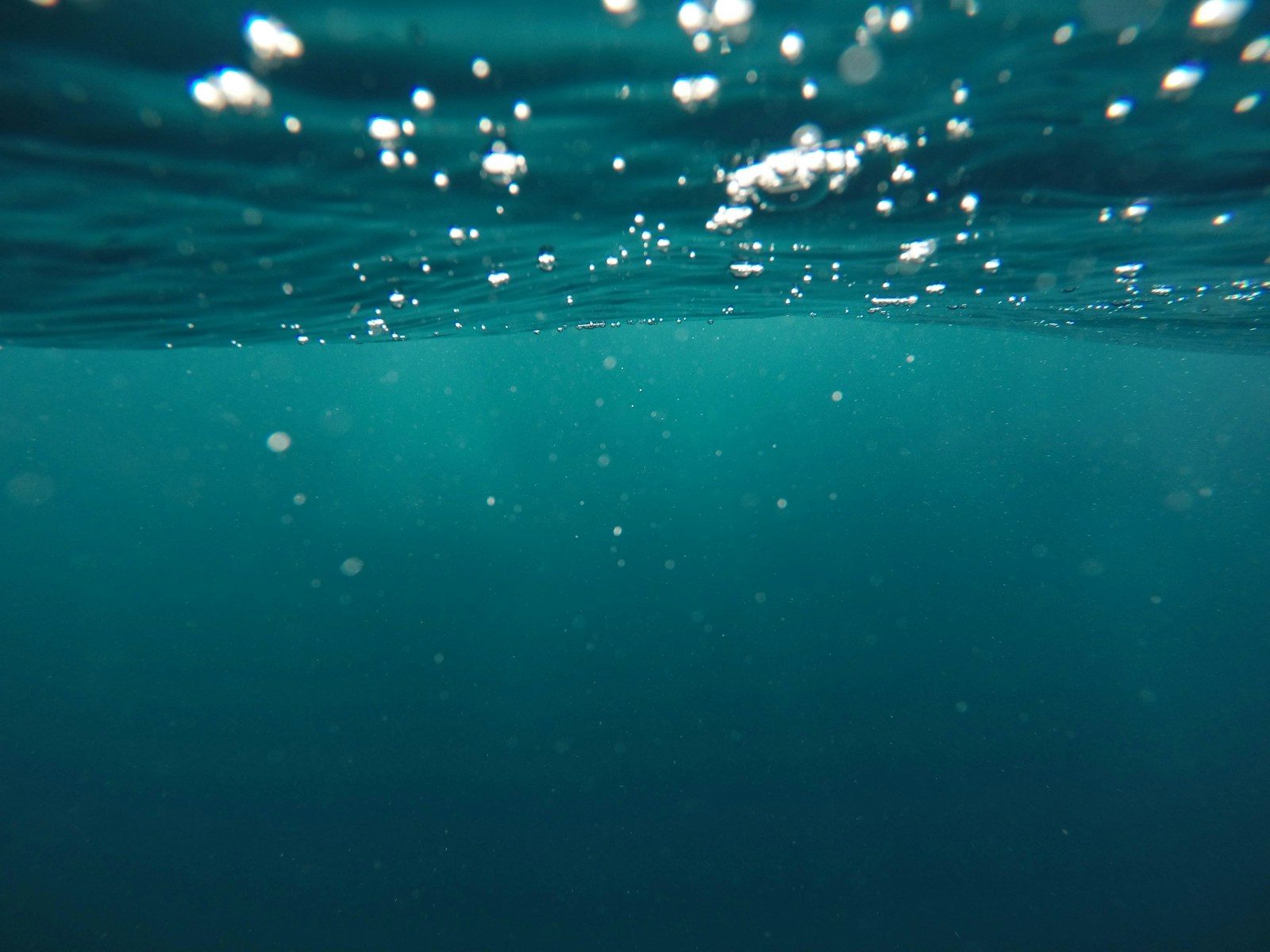FCC seeks to streamline submarine cable permitting process - Broadband ...